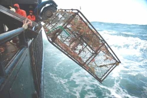 MARCO J0200 24 inch SWINGHAULER POT LINE HAULER / CRAB BLOCK from Smith ...